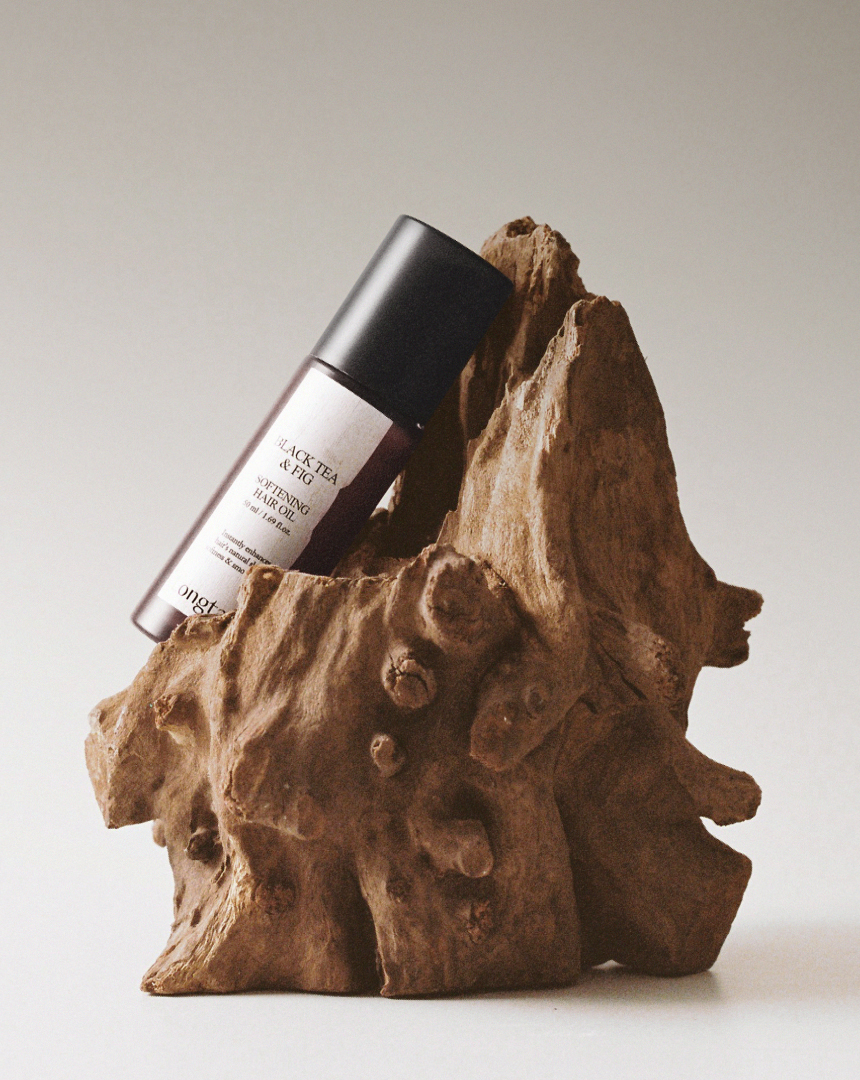 Longtake(롱테이크) BI 디자인 개발