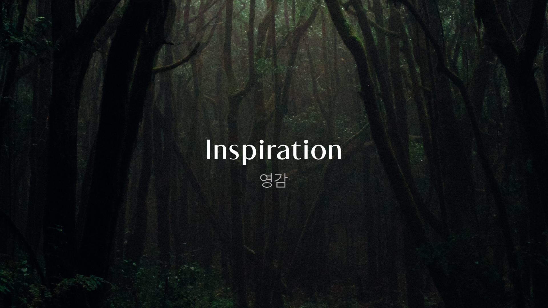 Longtake(롱테이크) BI 디자인 개발