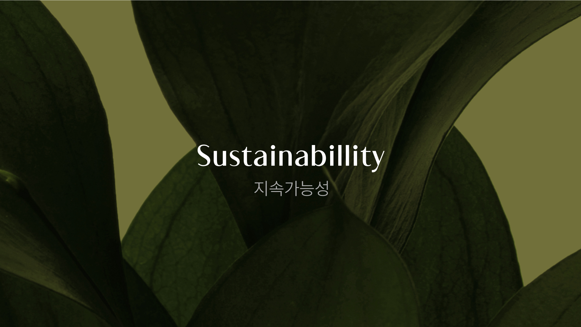 Longtake(롱테이크) BI 디자인 개발